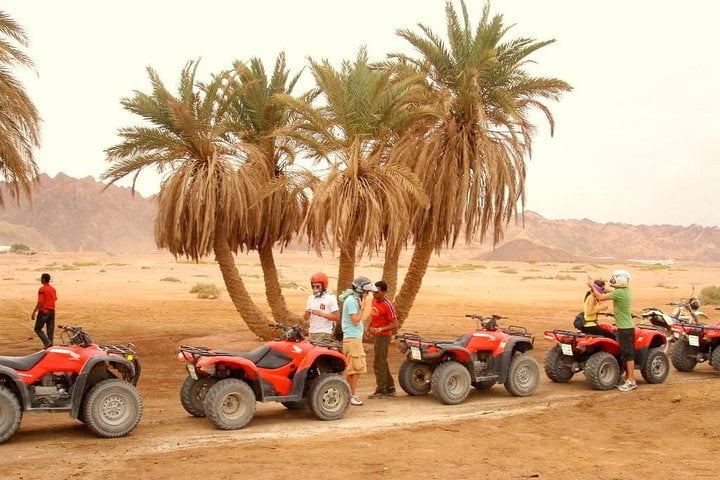 Luxor: Sunset Quad Biking Adventure and Desert Safari - Dandelion Egypt